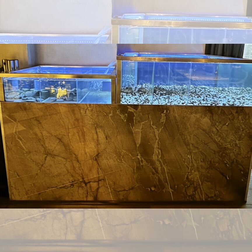 Аквариум для морепродуктов