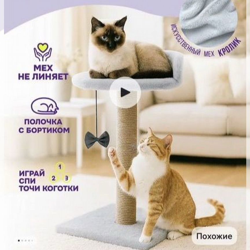 Когтеточка для кошек