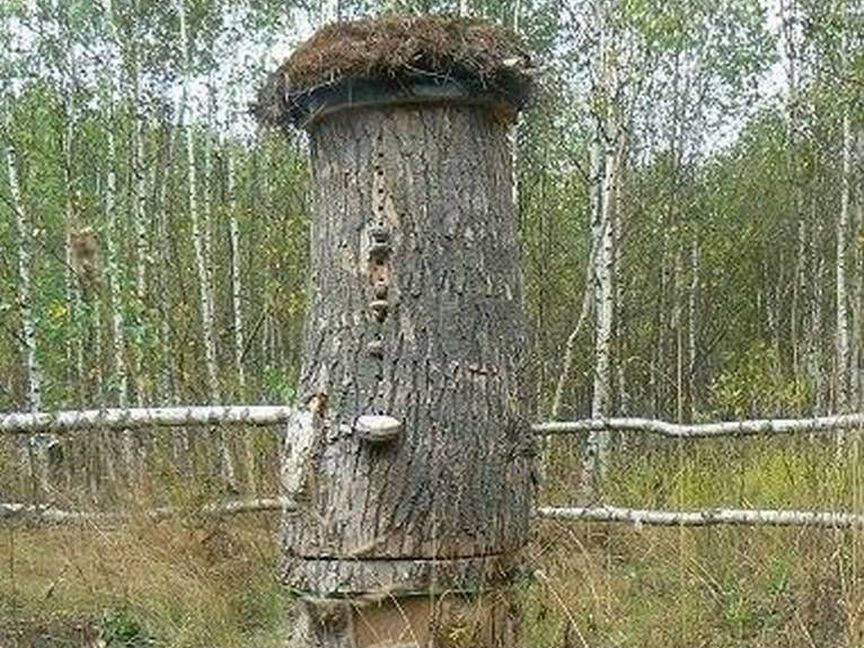 Колода для пчел