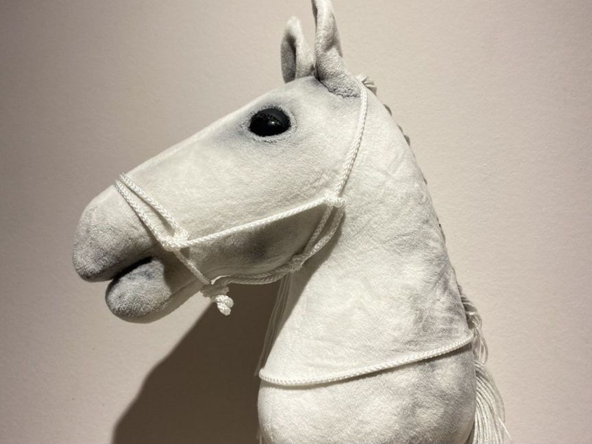 Кордео и недоуздок для хорса