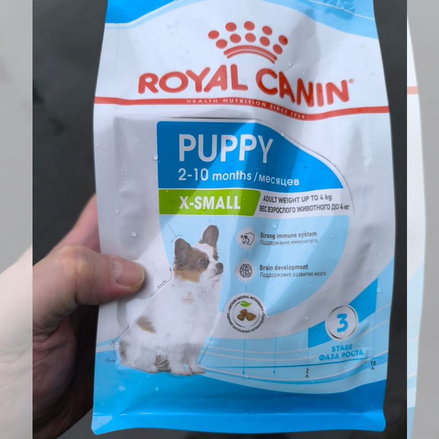 Royal canin пупи смайл для щенков