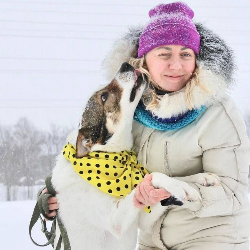 Собака из приюта Олли -очаровательная девочка ищет