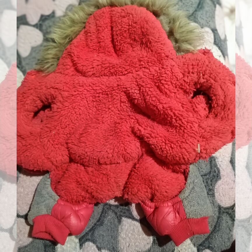 Одежда для маленьких пород собак