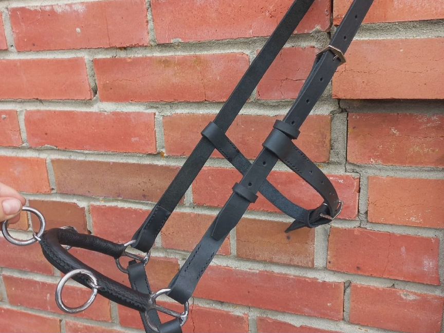 Французский кавессон