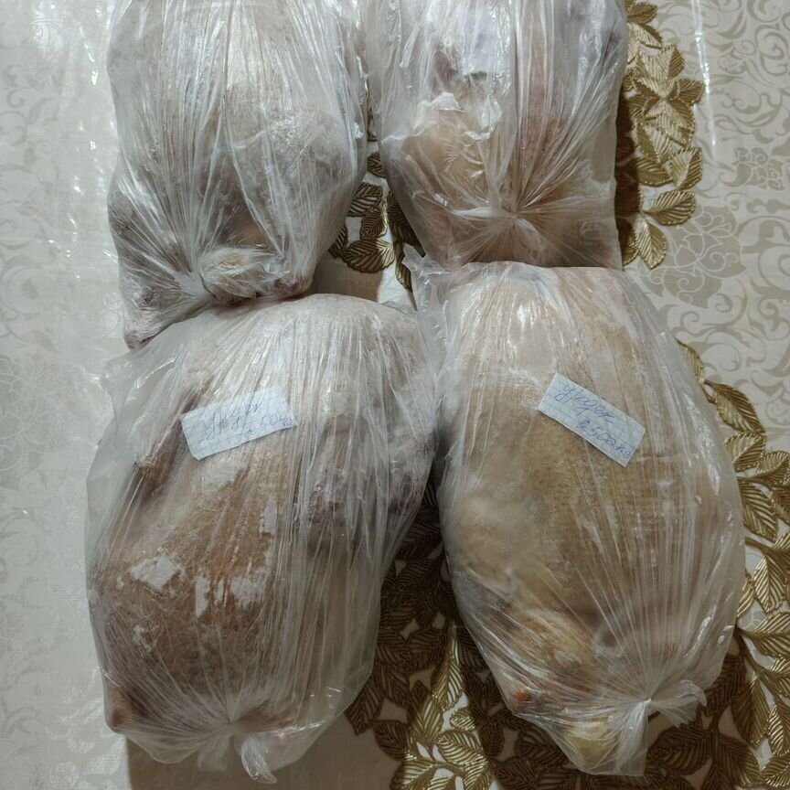 Утки чилли вилли