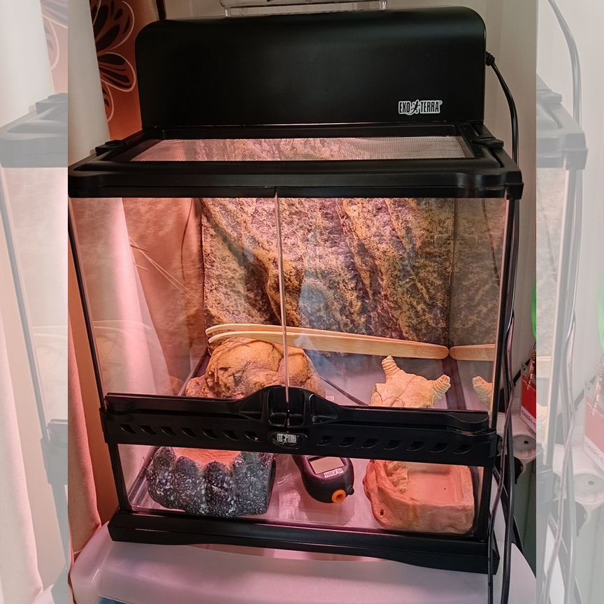 Террариум exo terra 30*30*30