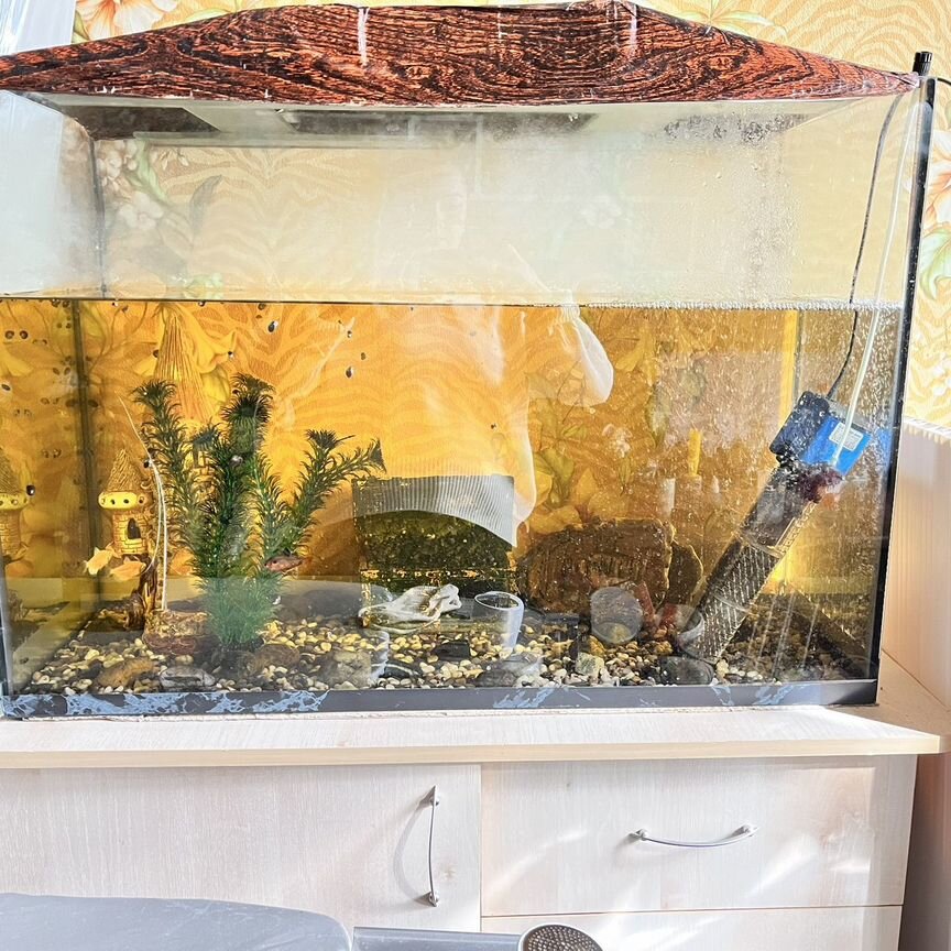 Аквариум с рыбками