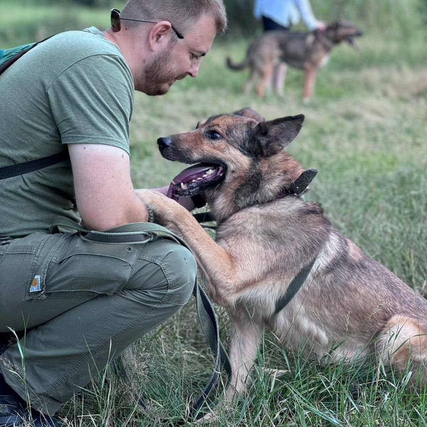Банди старее, а хозяин уже не придет