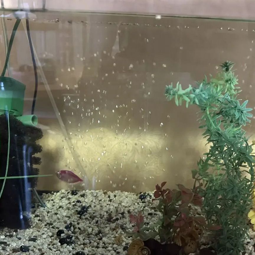 Аквариум с рыбками