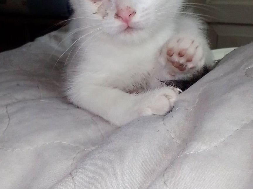 Мама красотка,папа неизвестно