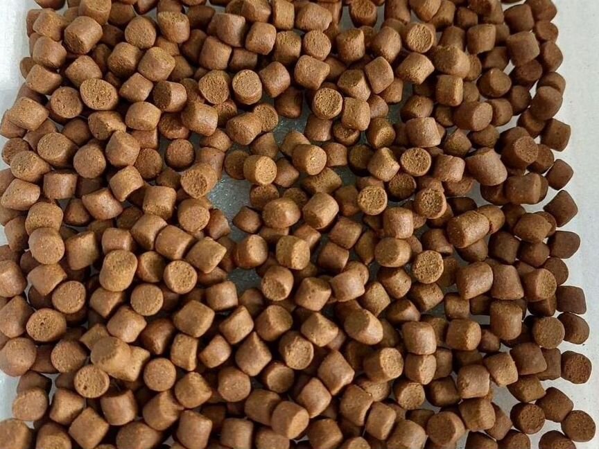 Корм для прудовой рыбы