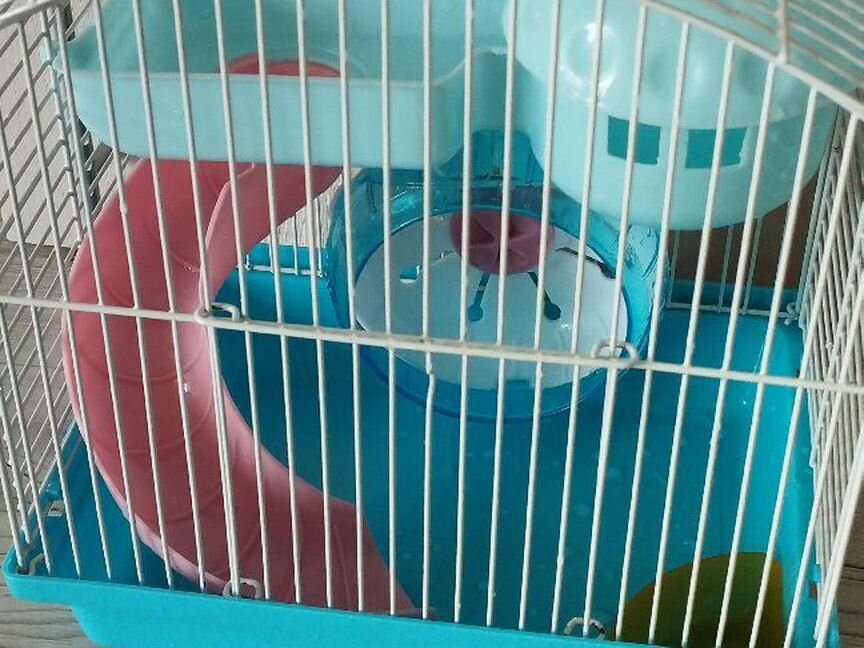 Клетка для джунгарского хомяка