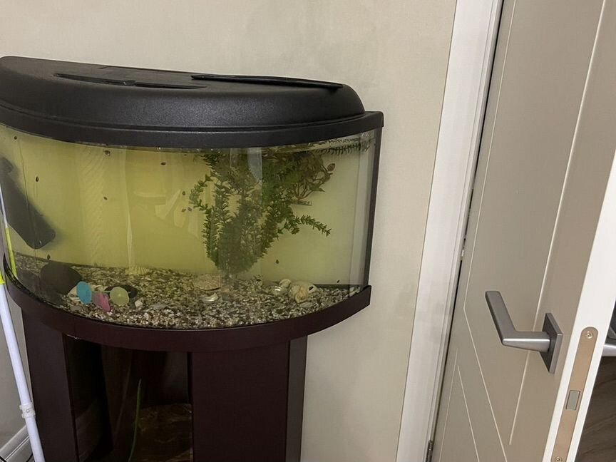 Аквариум с подсветкой и всеми принадлежностями