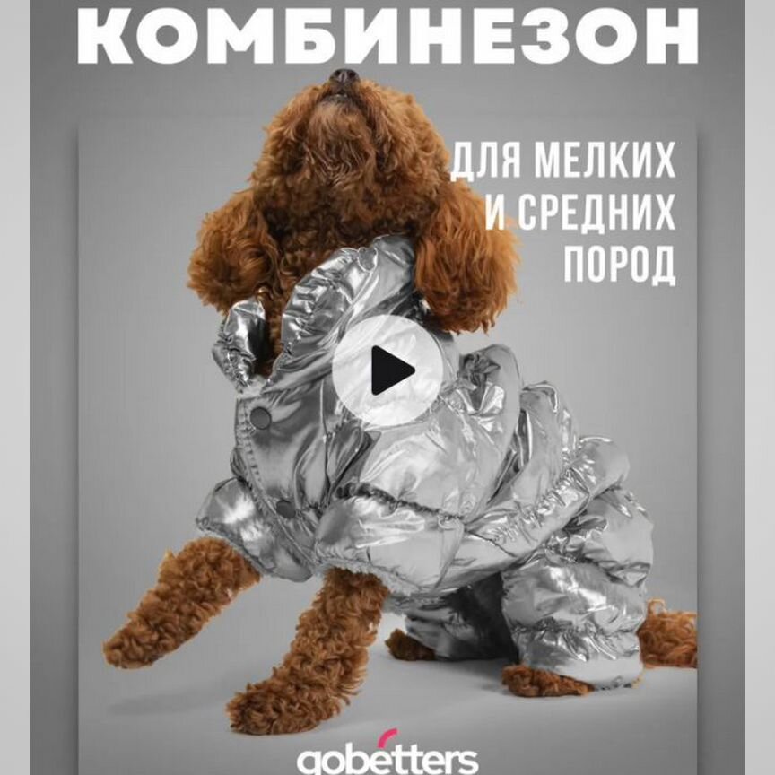 Зимний комбинезон для собаки