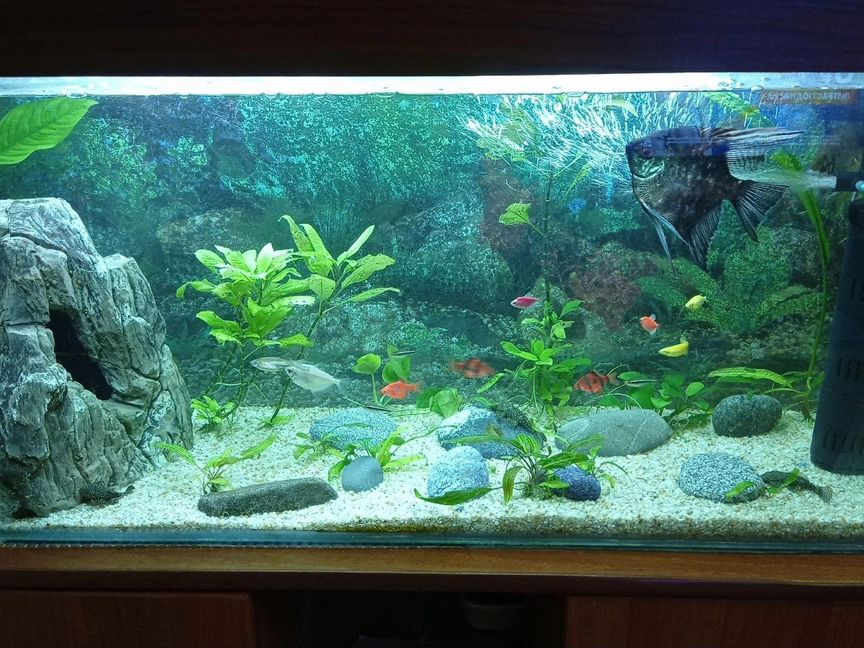 Аквариум