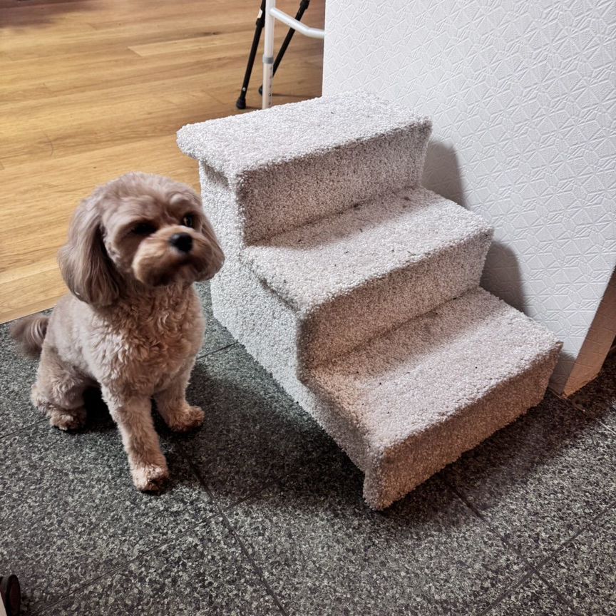 Лесенка для собак