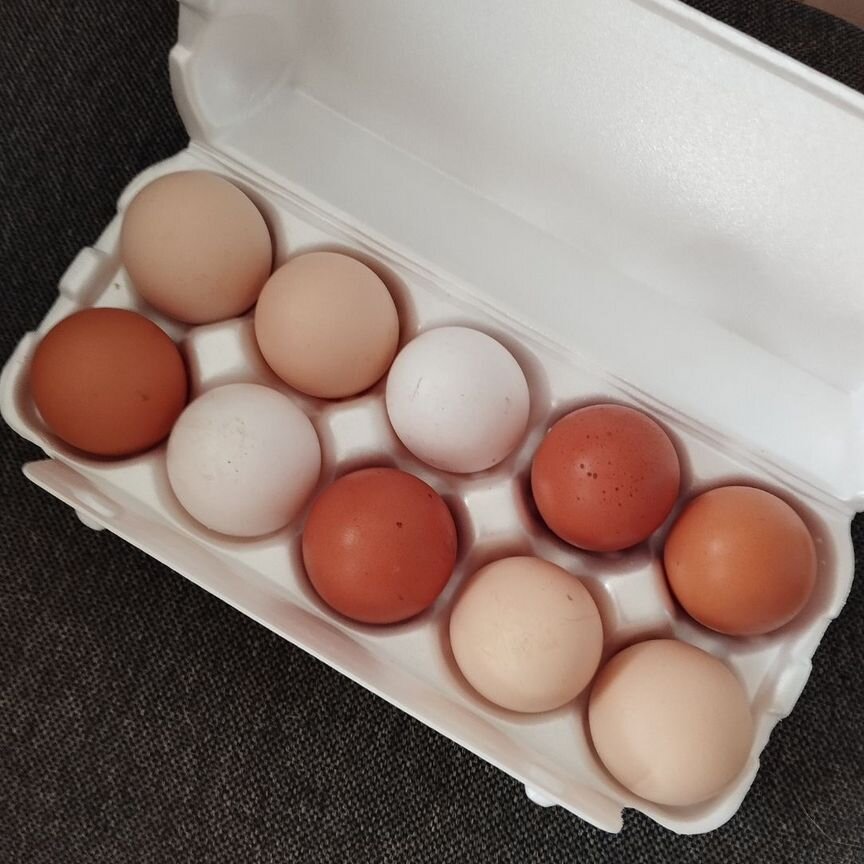 Домашние куриные яйца
