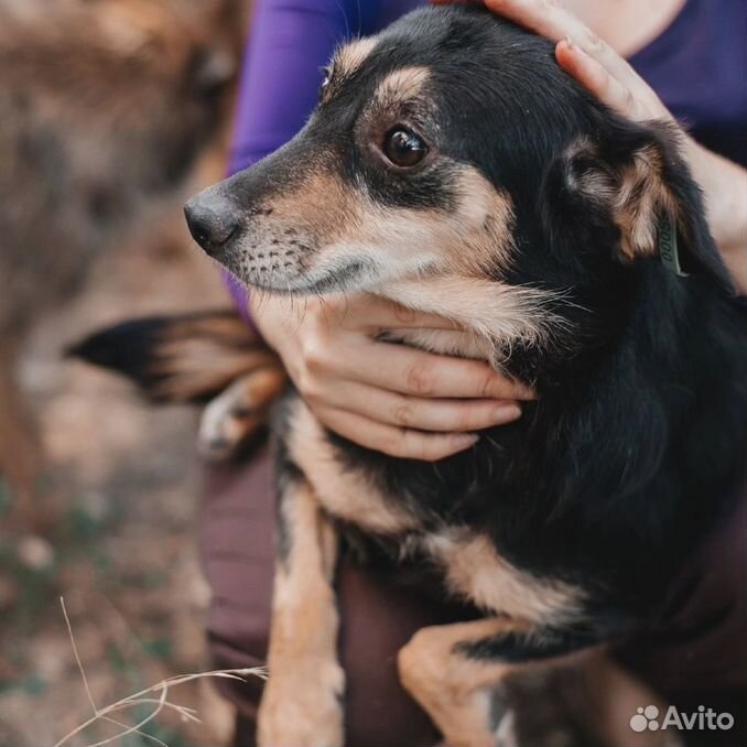 Джесс из зоны сво хочет домой