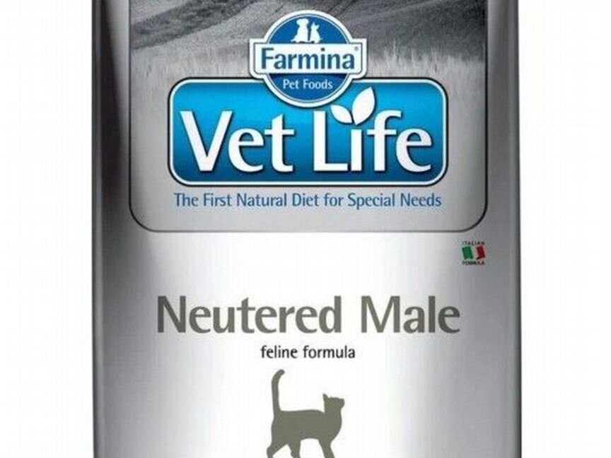 Сухие корма для кошек и котят