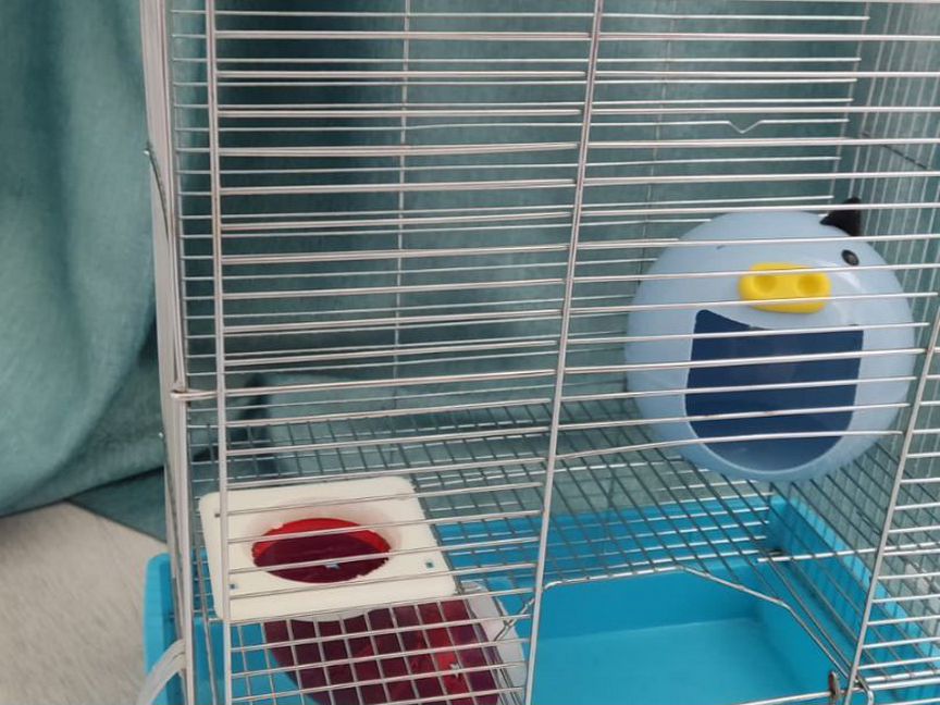 Клетка для грызунов