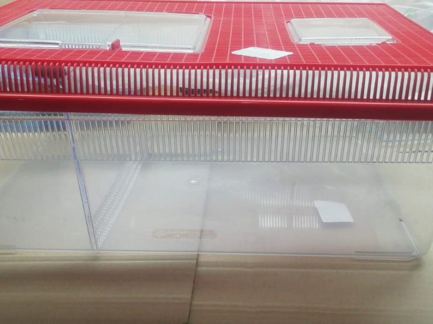 Переноска для черепах Geo Flat Large