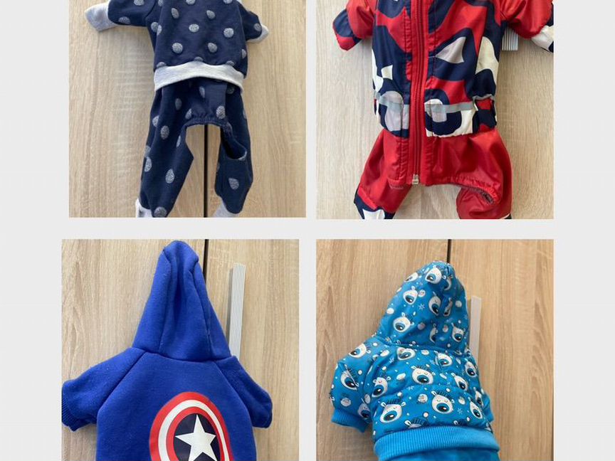 Одежда для собак мелких пород