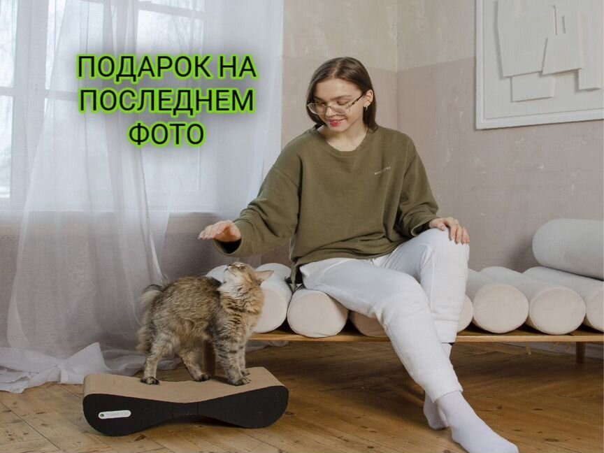 Когтеточки с доставкой