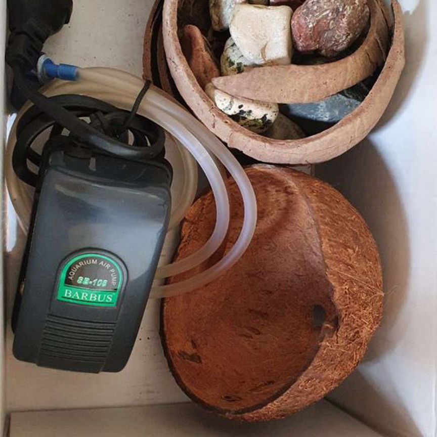 Воздух для аквариуме