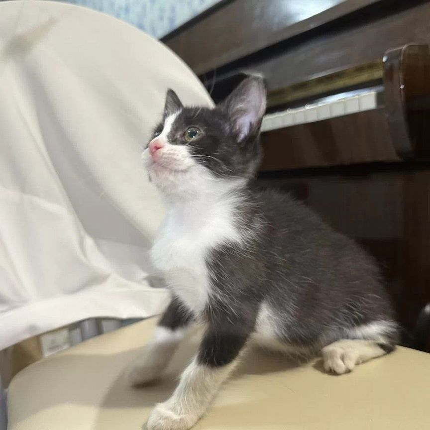 Разбираем малышню