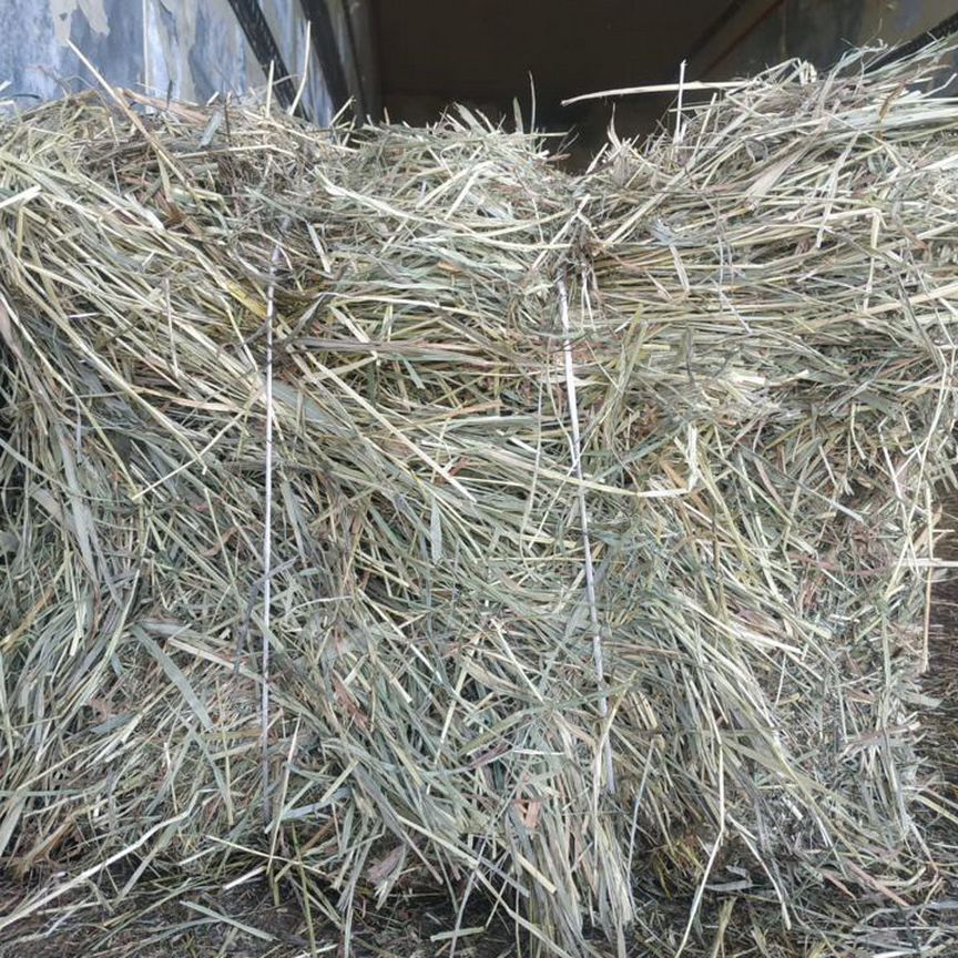 Сено в кипах с доставкой до вас