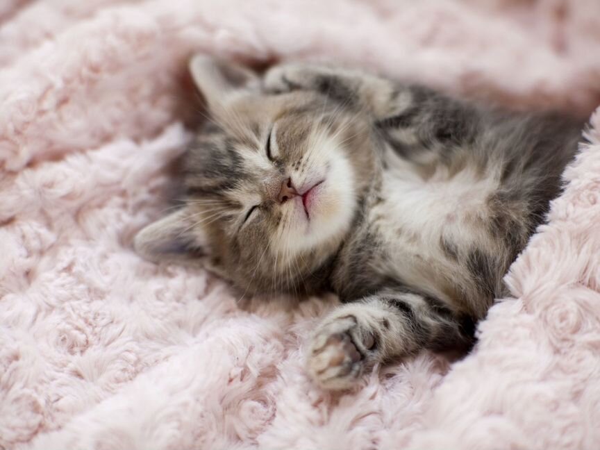 Ангелочек девочка