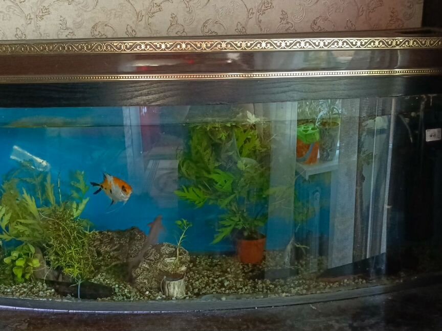 Аквариум с тумбой 140 литров