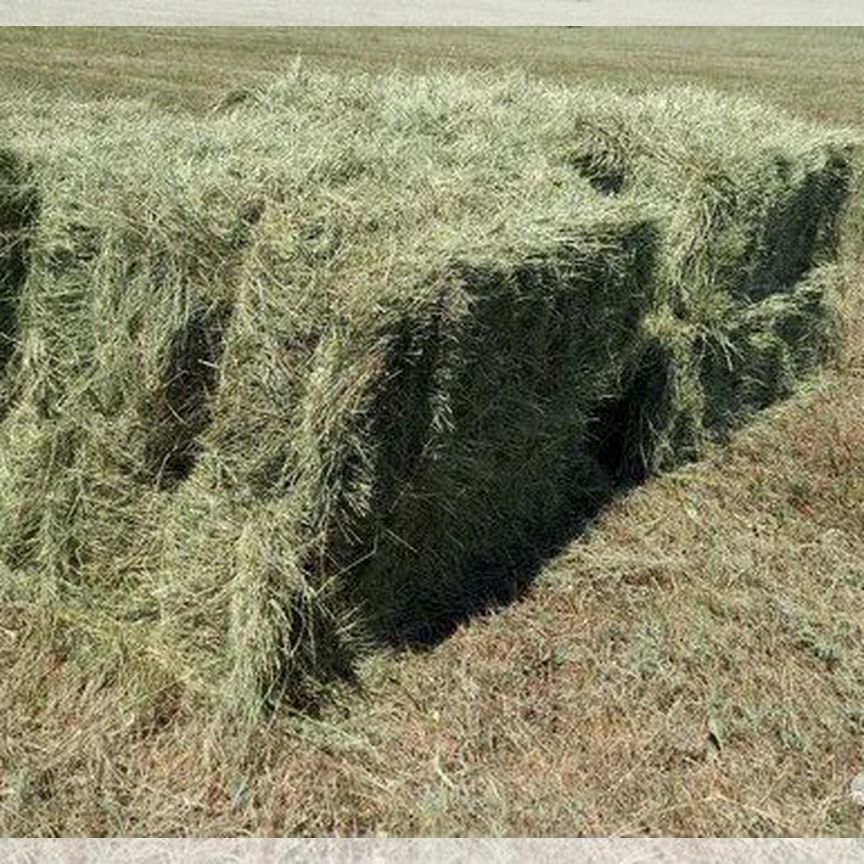 Продам сено в тюках