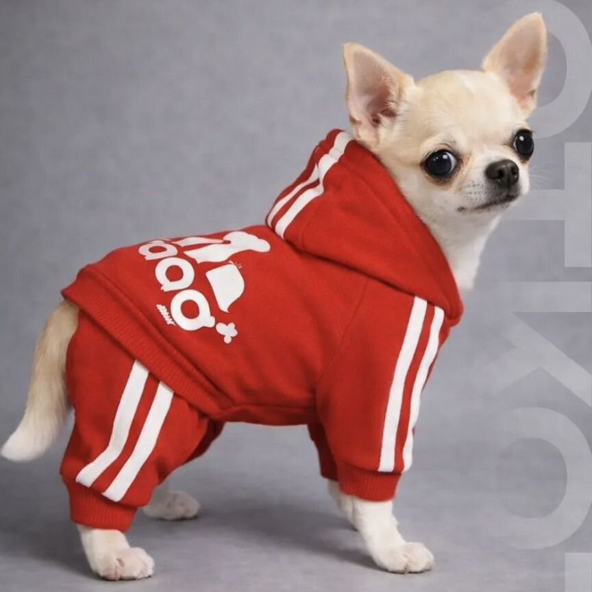 Комбинезон для животных adidog