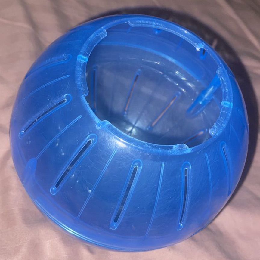 Прогулочный шар для грызунов