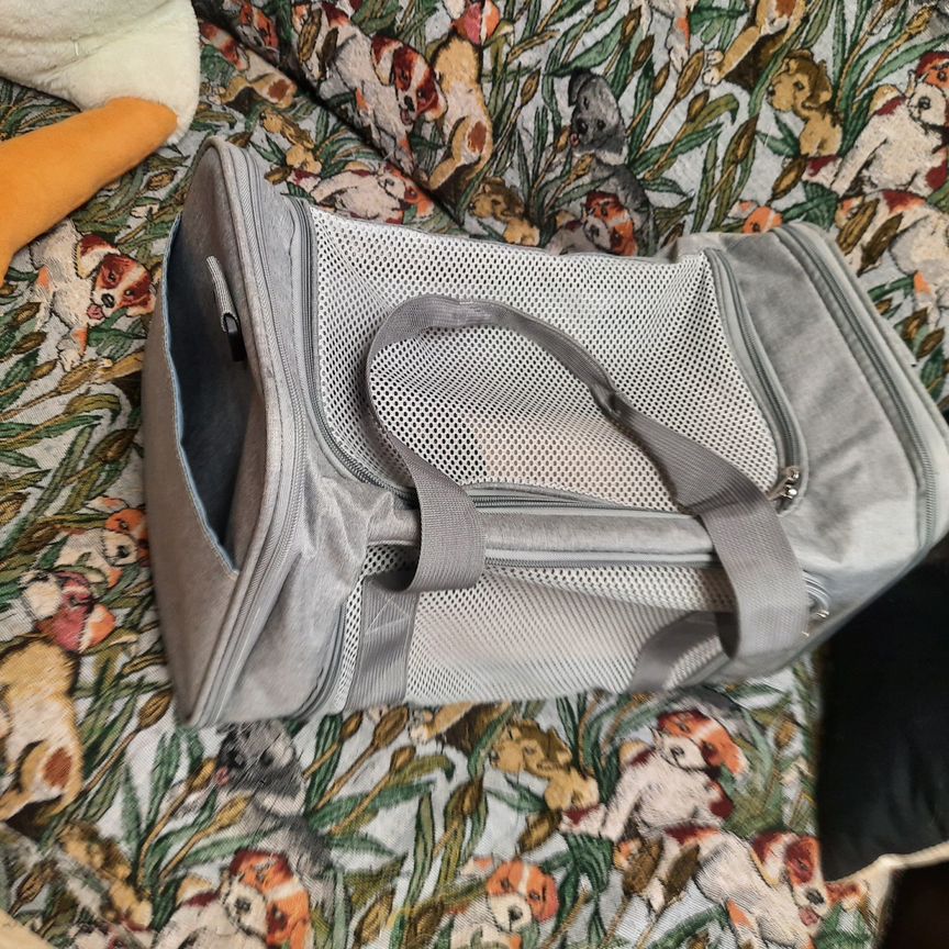 Отдам за шоколадку