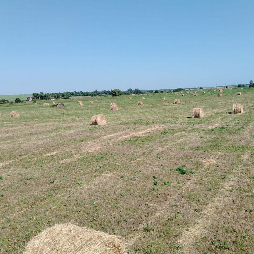 Сено в рулонах