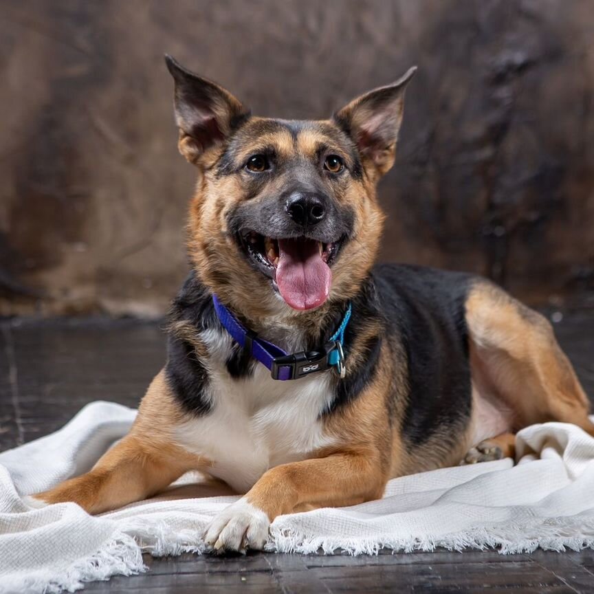 Очень красивый классный мальчик ждет семью в приют