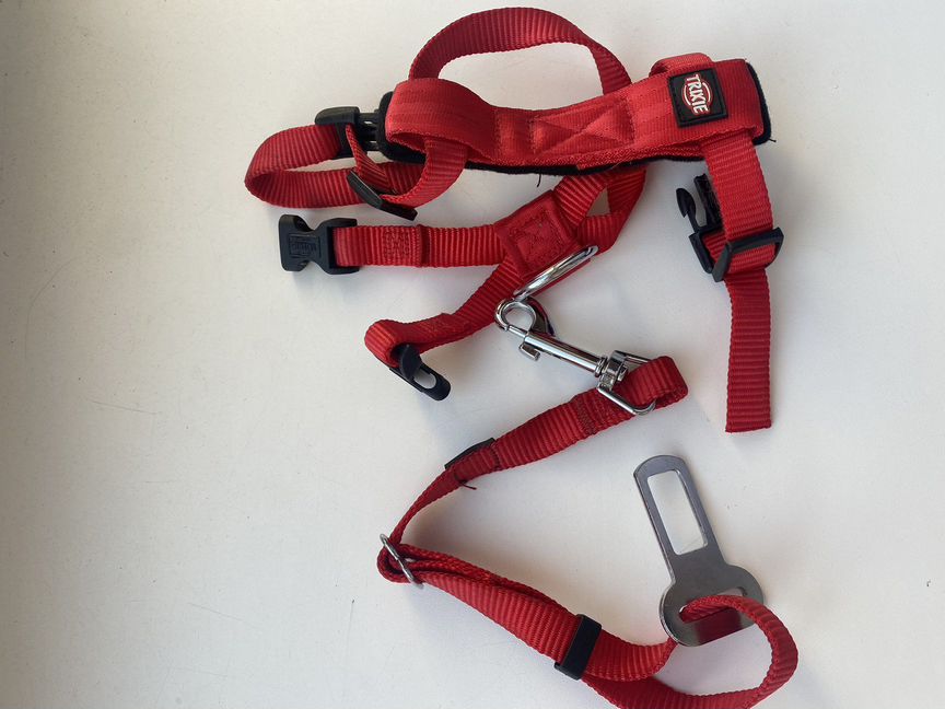 Ремень безопасности для собак (йорк)