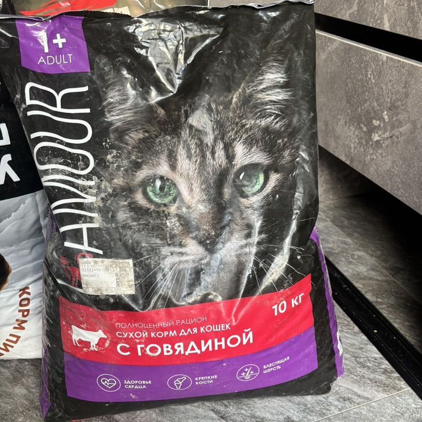 Корм для кошек