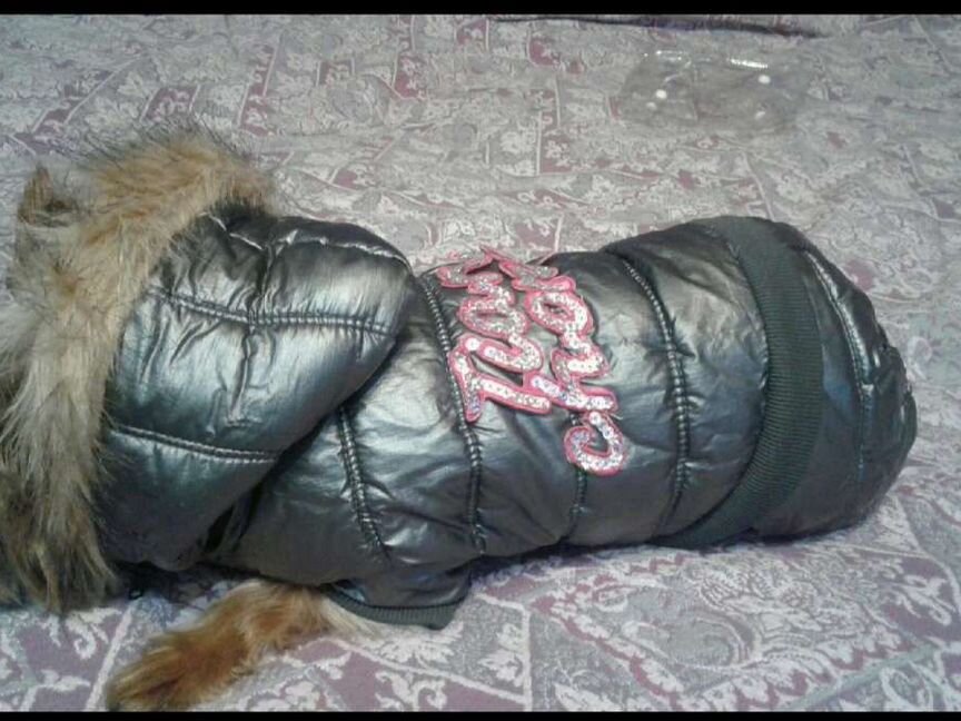 Зимний костюм собаки Tian Chong