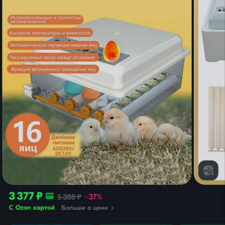 Инкубатор