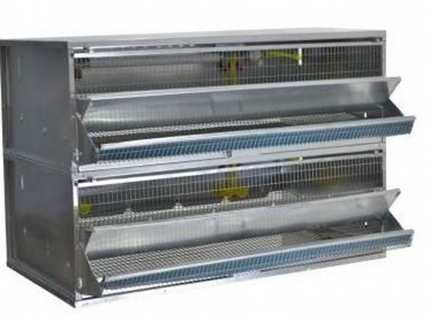 Клетка для перепелов на 100 голов все в комплекте