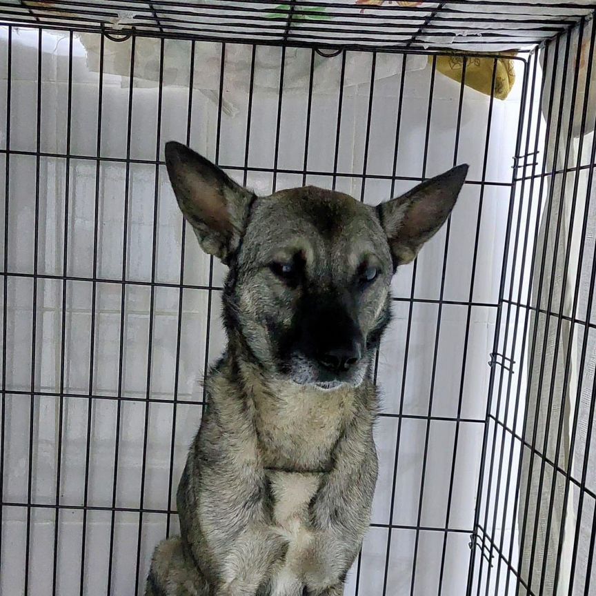 Серега ищет друзей