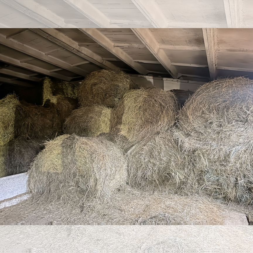 Сено в тюках