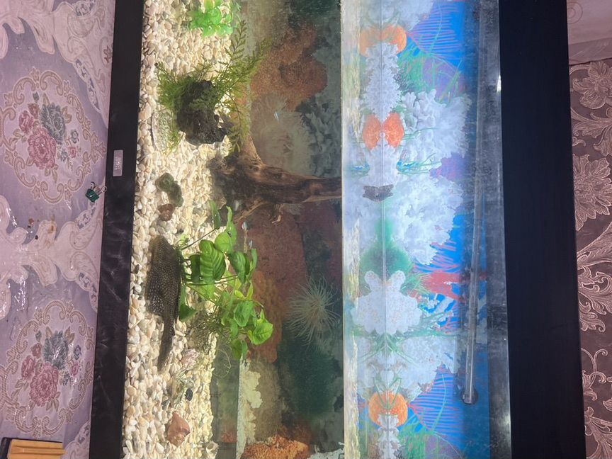 Аквариум с рыбками