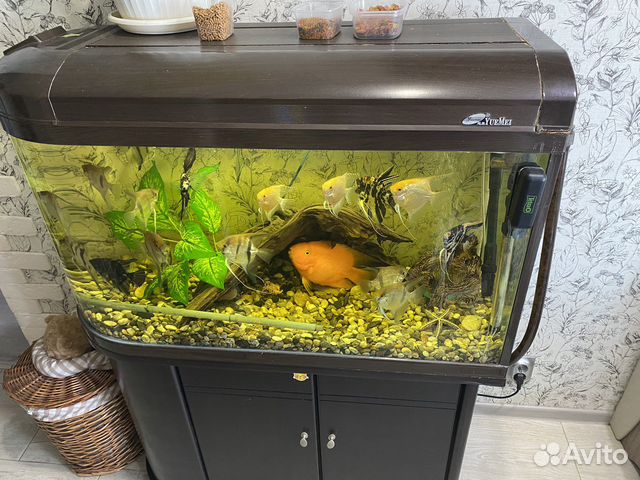 Аквариум