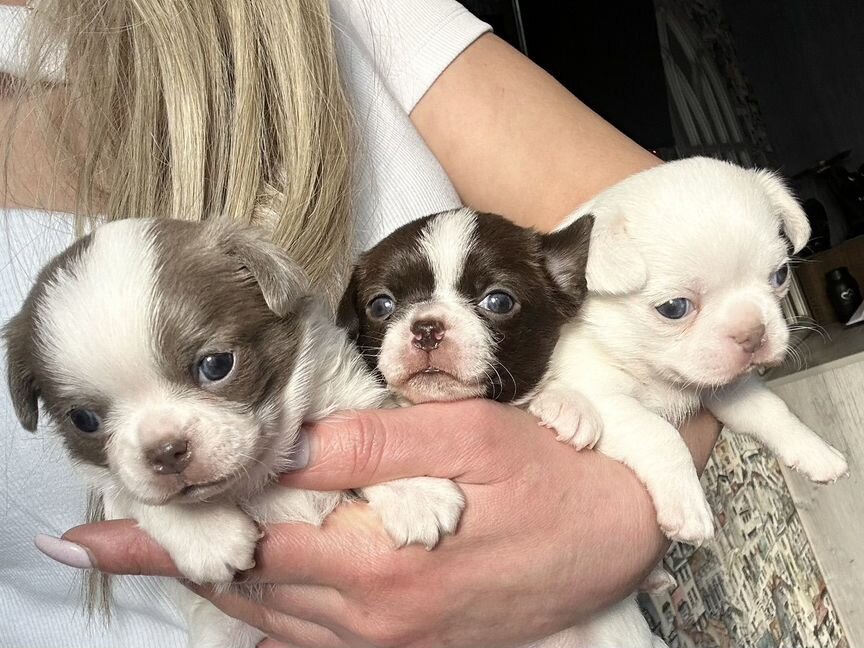 Реальные пацаны