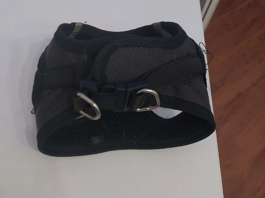 Шлейка для маленькой собаки