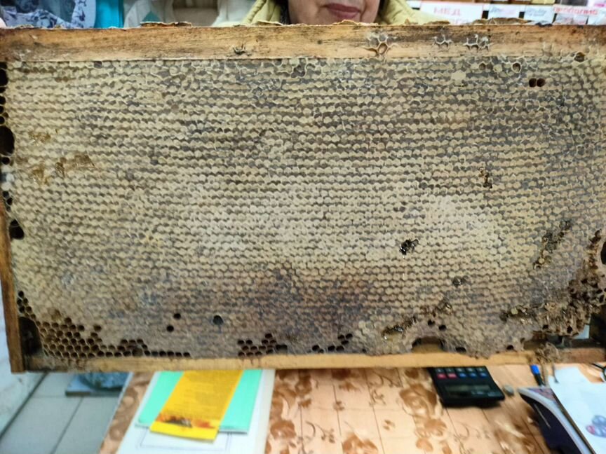 Рамки с вощиной